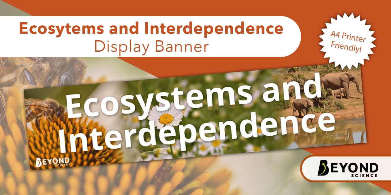 KS3 Ecosystems and Interdependence Topic Banner | Beyond