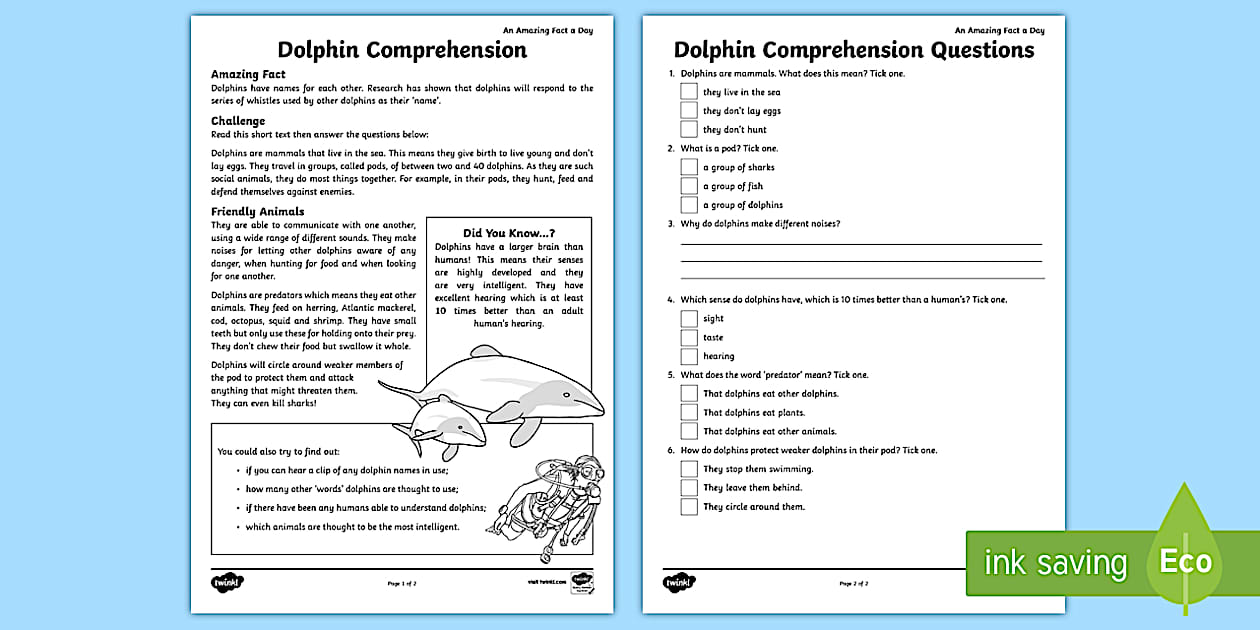 Dolphin Comprehension Worksheet | Ocean Animals - Twinkl
