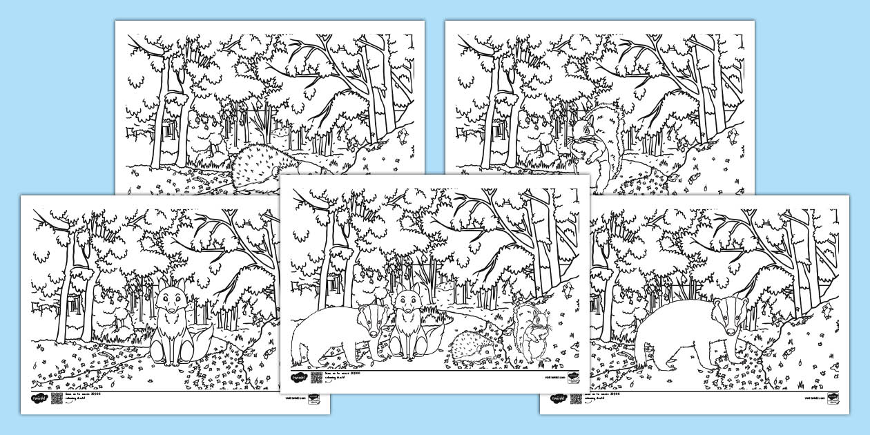 Woodland Animal Colouring Pages (teacher made) - Twinkl