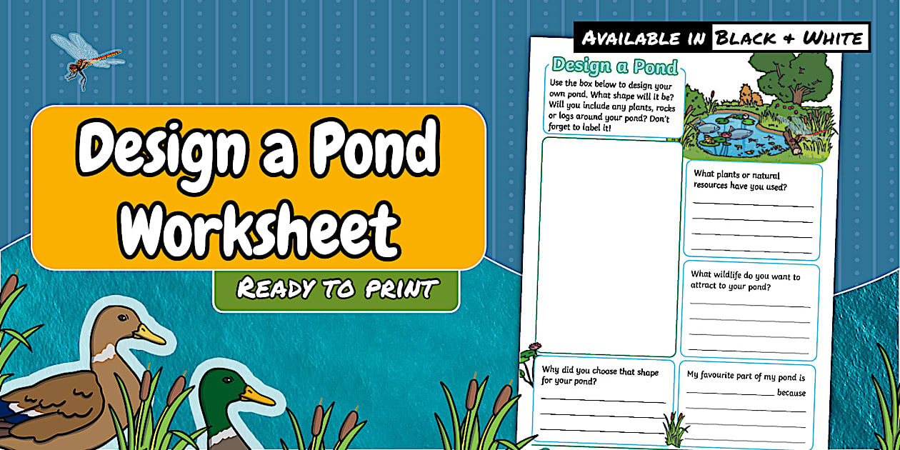 Design a Pond Worksheet - Twinkl - KS1