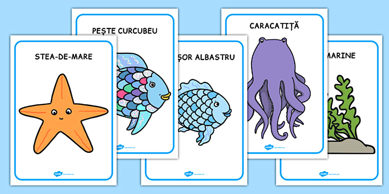 Peștele curcubeu - Cartonașe - Peștele curcubeu, Cartonașe