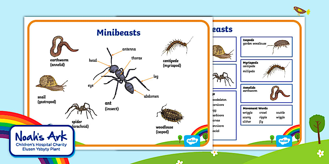 FREE! - Minibeasts Word Mats - Twinkl