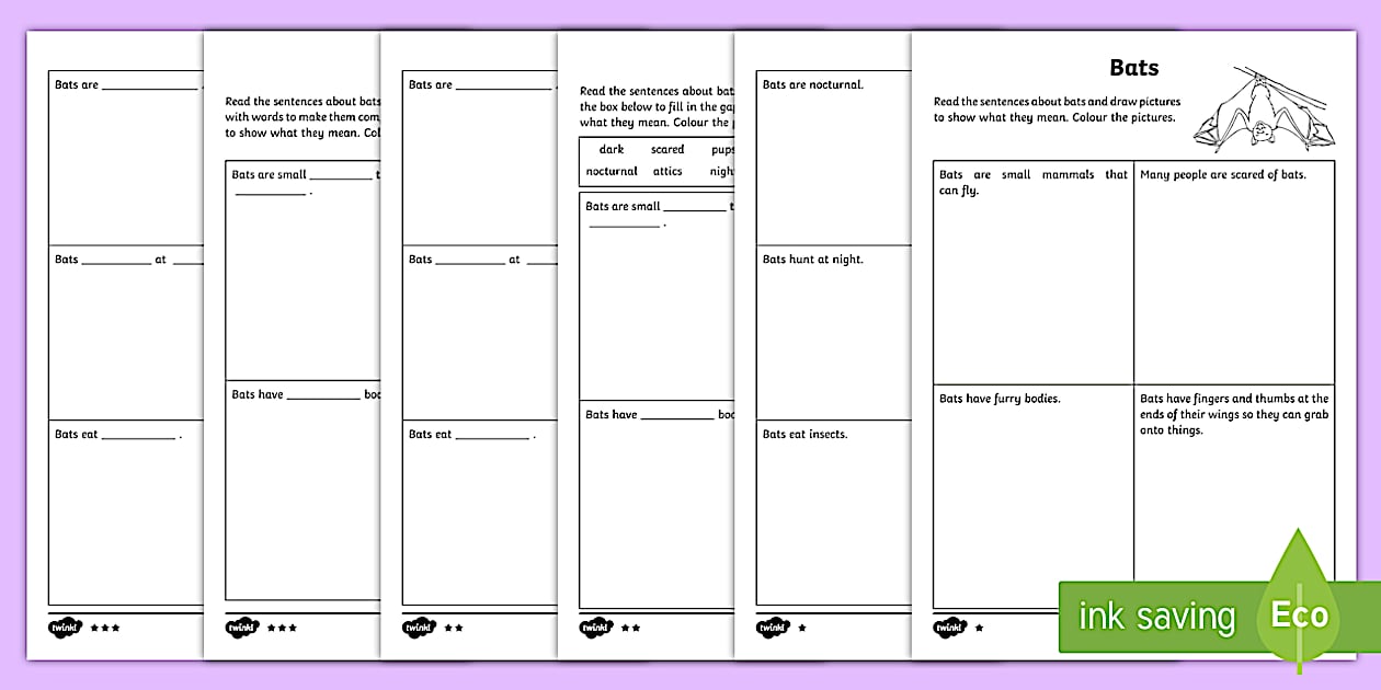 Bats Read and Draw Differentiated Worksheet / Worksheets