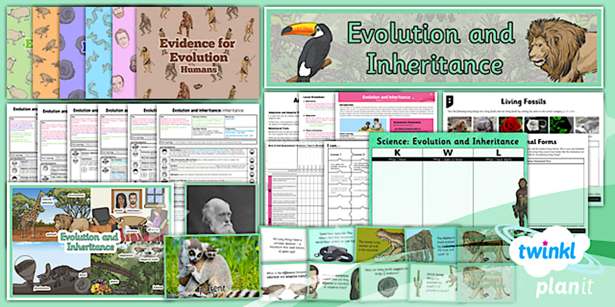 Science: Evolution and Inheritance Year 6 Unit Pack - Twinkl