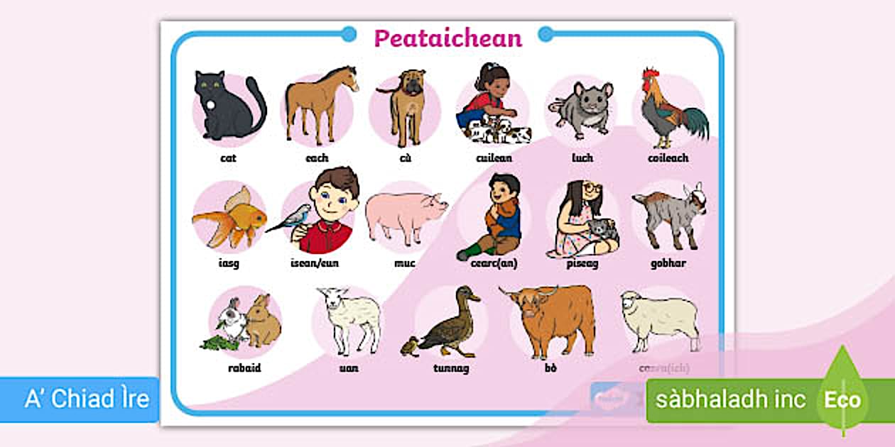 FREE! - Scottish Gaelic Pets Word Mat - Twinkl