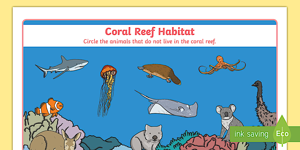 TAS What's Wrong with the Coral Reef Habitat? Worksheet