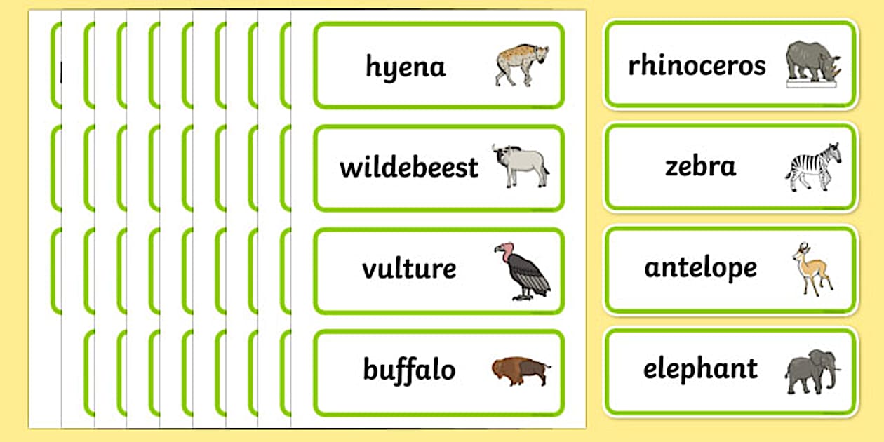 Cursive Savannah Animals Topic Cards (teacher made) - Twinkl