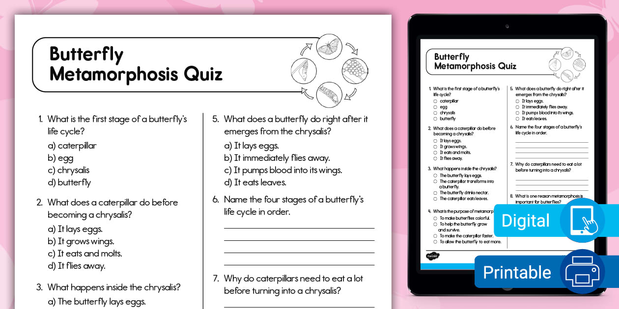 Butterfly Metamorphosis Quiz for K-2nd Grade
