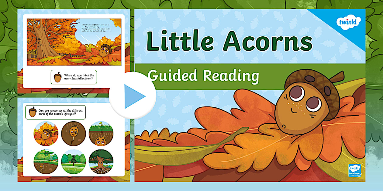 Little Acorns Guided Reading PowerPoint (teacher made)