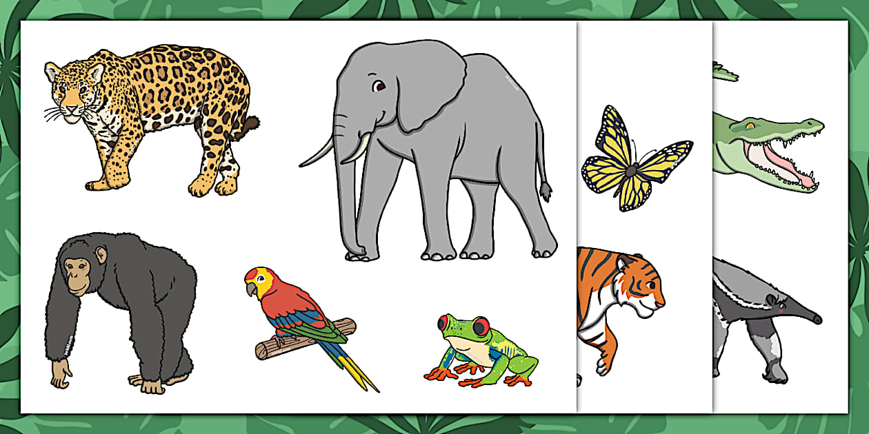 Jungle and Rainforest Small World Characters (teacher made)