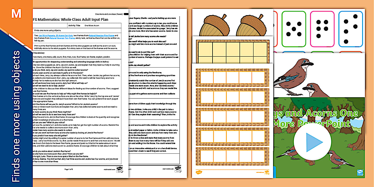 EYFS Maths One More Acorn Class Adult Input Planning Pack
