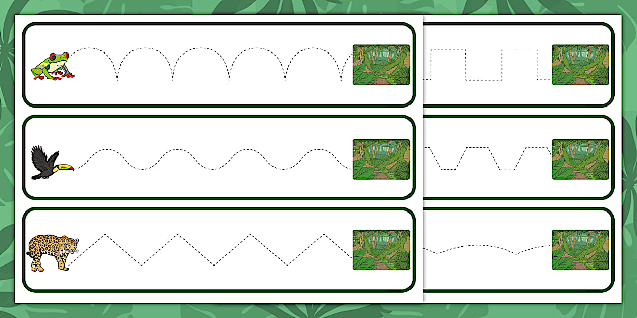 Jungle and Rainforest Trails Fine Motor Skills Cards