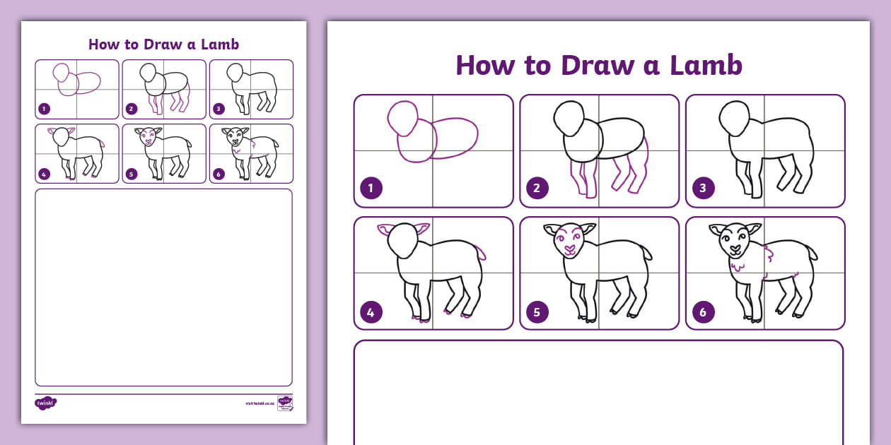 How to Draw a Lamb (teacher made) - Twinkl