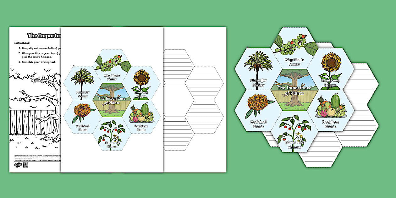 The Importance of Plants Hexagon Writing Template - Twinkl