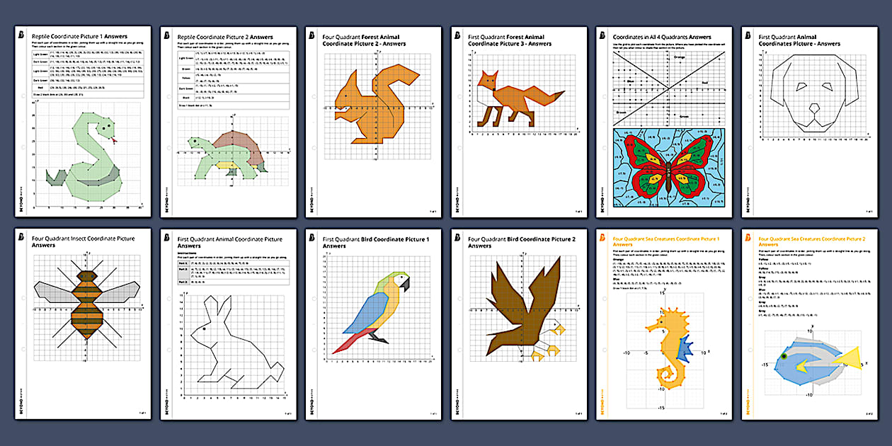 Coordinate Creatures Picture Pack (teacher made) - Twinkl