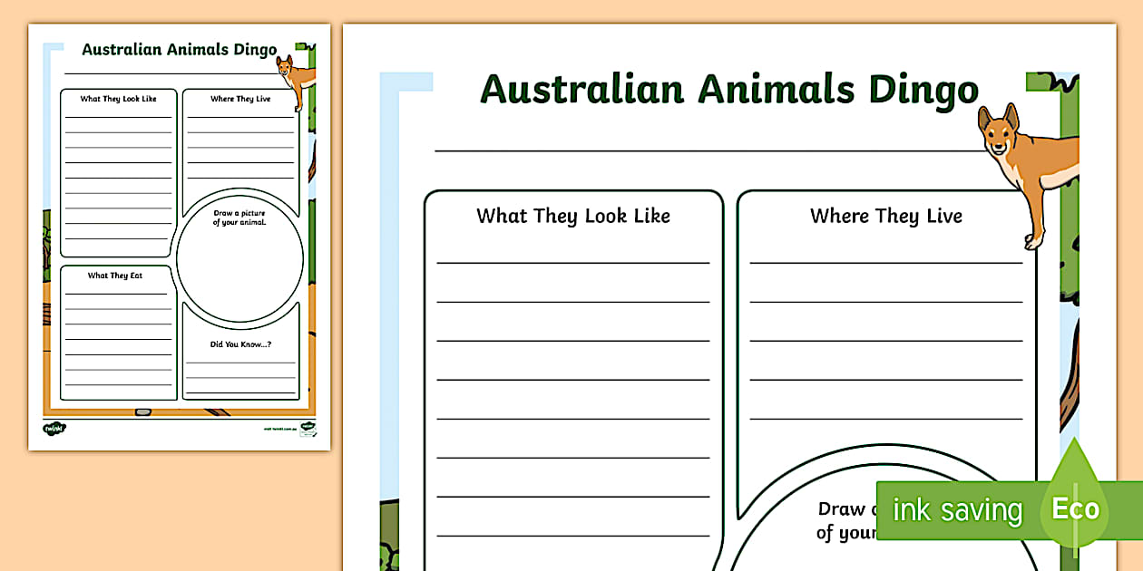 SA Australian Animals Dingo Information Report Writing Template