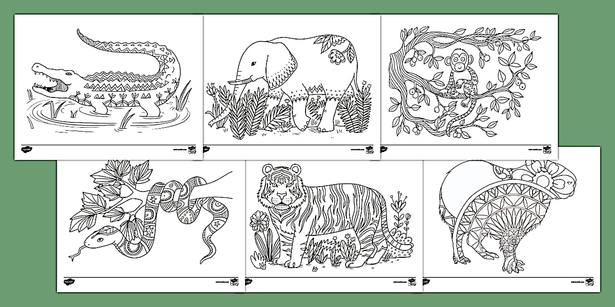 Jungle Animals Coloring Pages for Kids | Mindful Activities