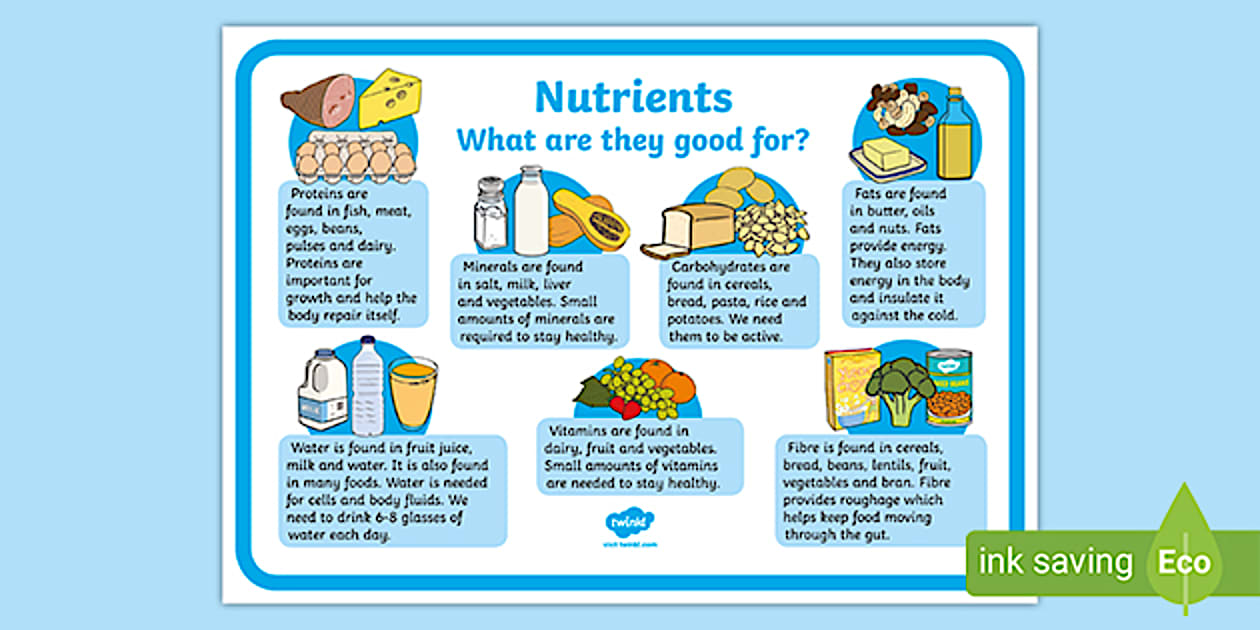 Year 6 All Nutrients Display Poster (Teacher-Made) - Twinkl