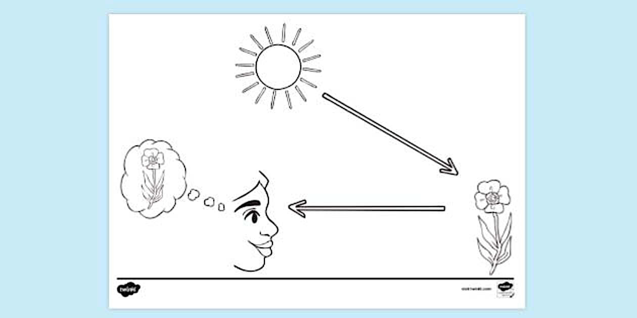 Image Perception Light Colouring Sheet | Colouring Sheets