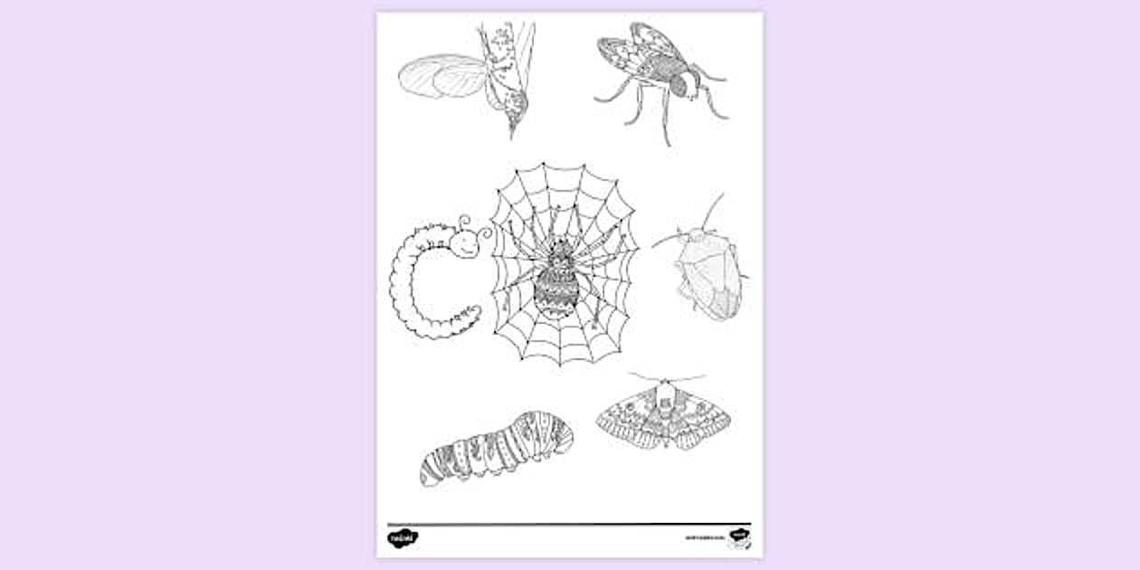 Kids Colouring Page Bugs | Colouring Sheets - Twinkl