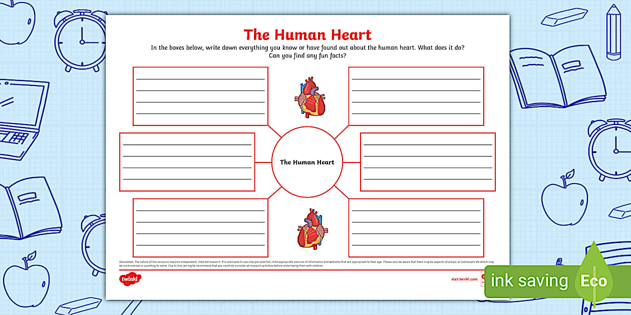 The Human Heart Mind Map (Teacher-Made) - Twinkl