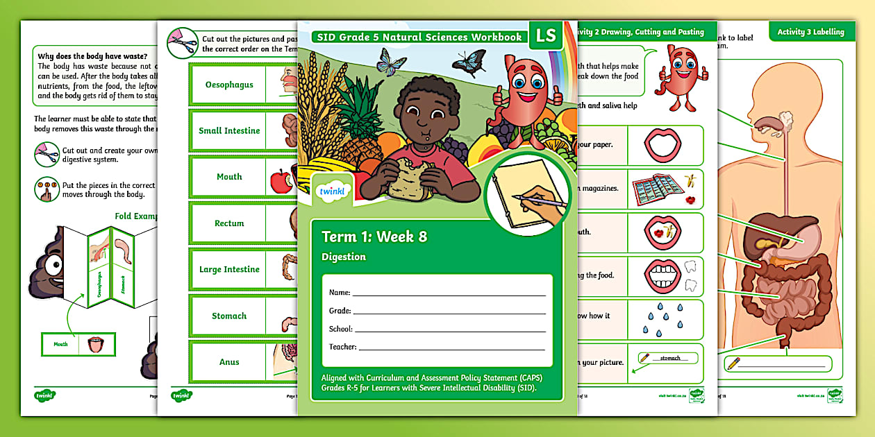 SID: Grade 5 Natural Sciences Booklet Term 1 Week 8 LS