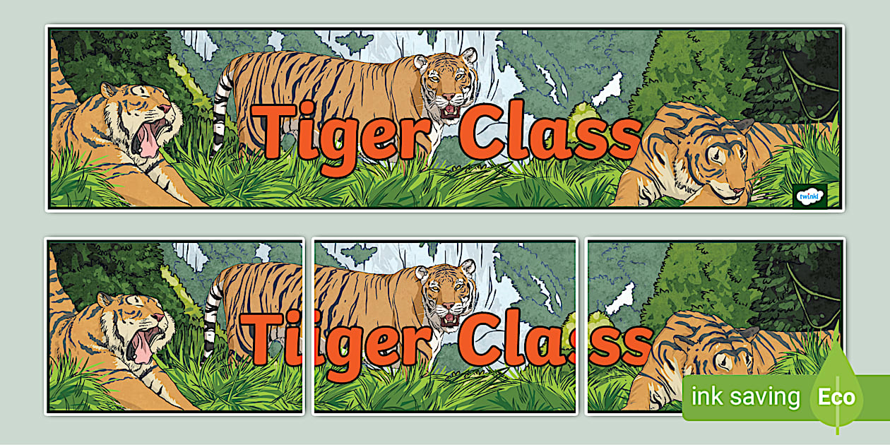 Tiger Class Banner (teacher made) - Twinkl