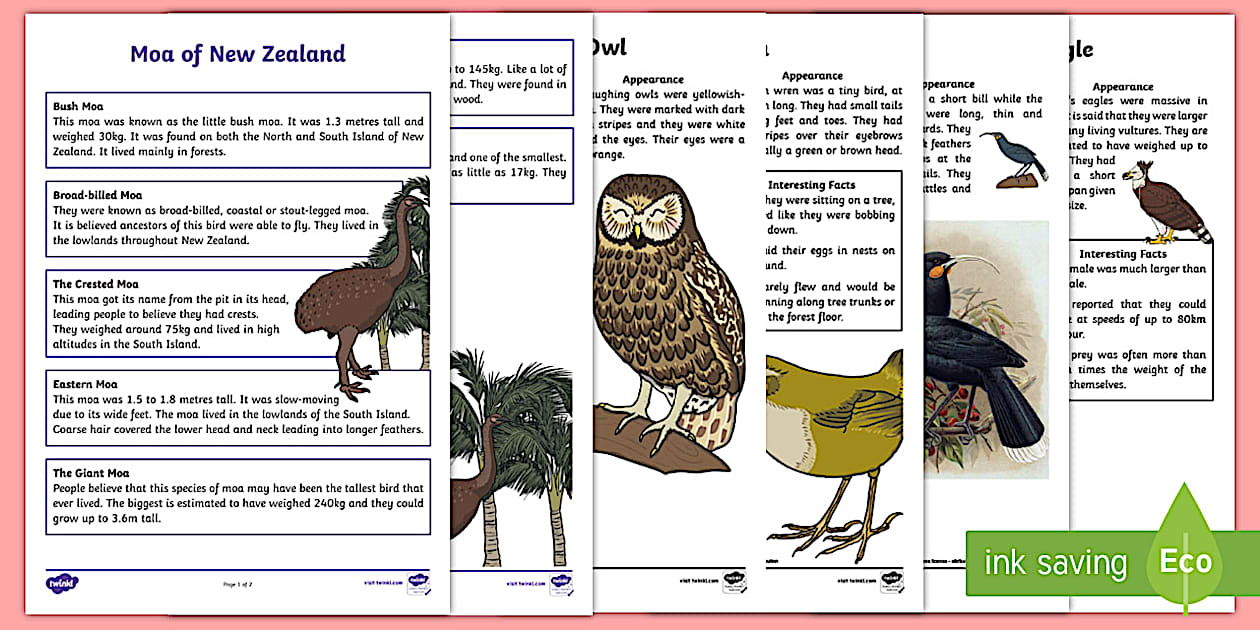 Extinct NZ Animals Fact Pack | NZ Animal Resources - Twinkl