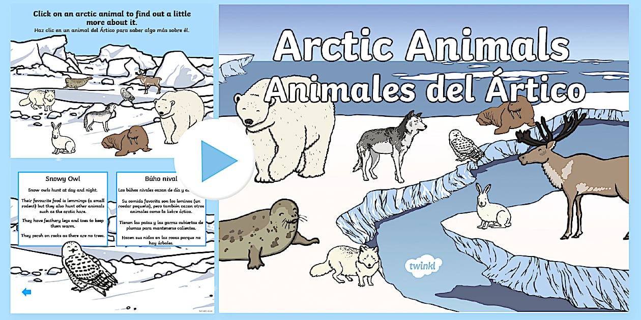 Winter Arctic Animals Habitat PowerPoint English/Spanish