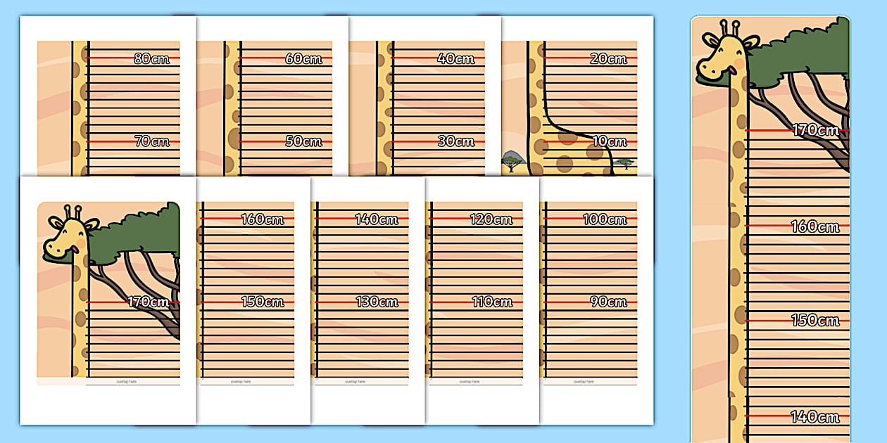 Printable Height Chart (teacher made) - Twinkl