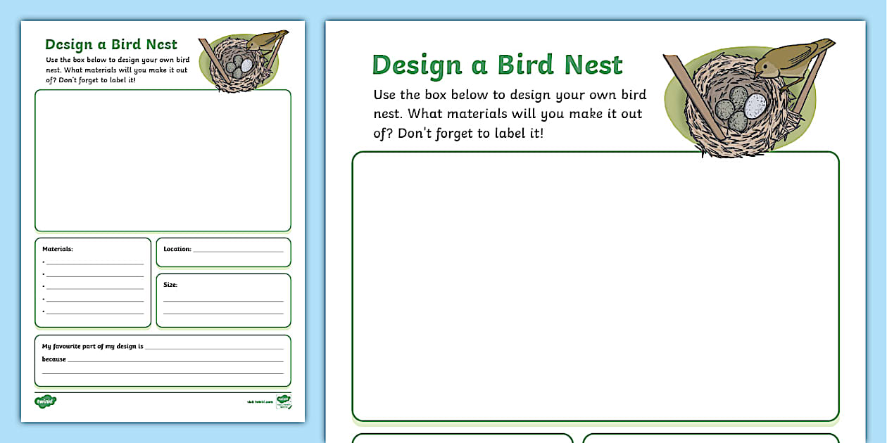 Design a Bird Nest Worksheet (teacher made) - Twinkl