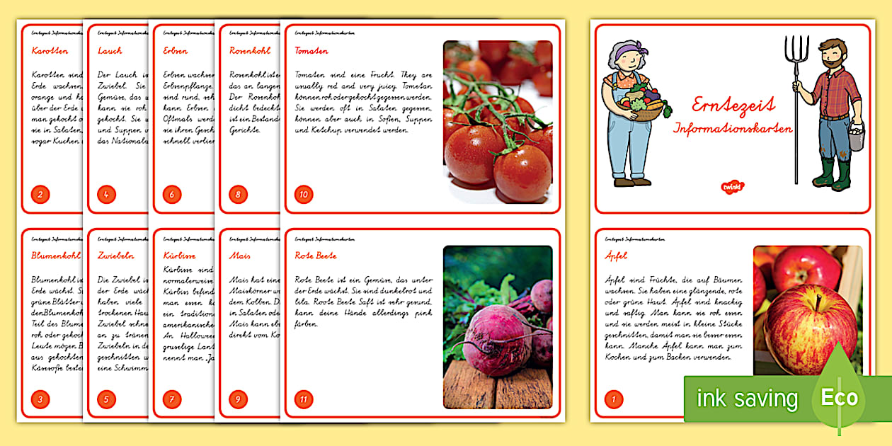 Erntezeit Obst und Gemüse Informationskarten - Twinkl