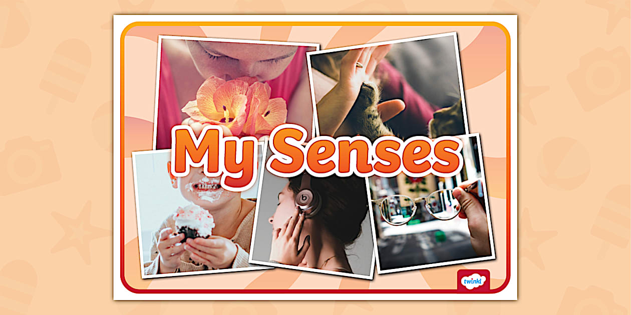 My Senses Photo Display Poster (teacher made) - Twinkl