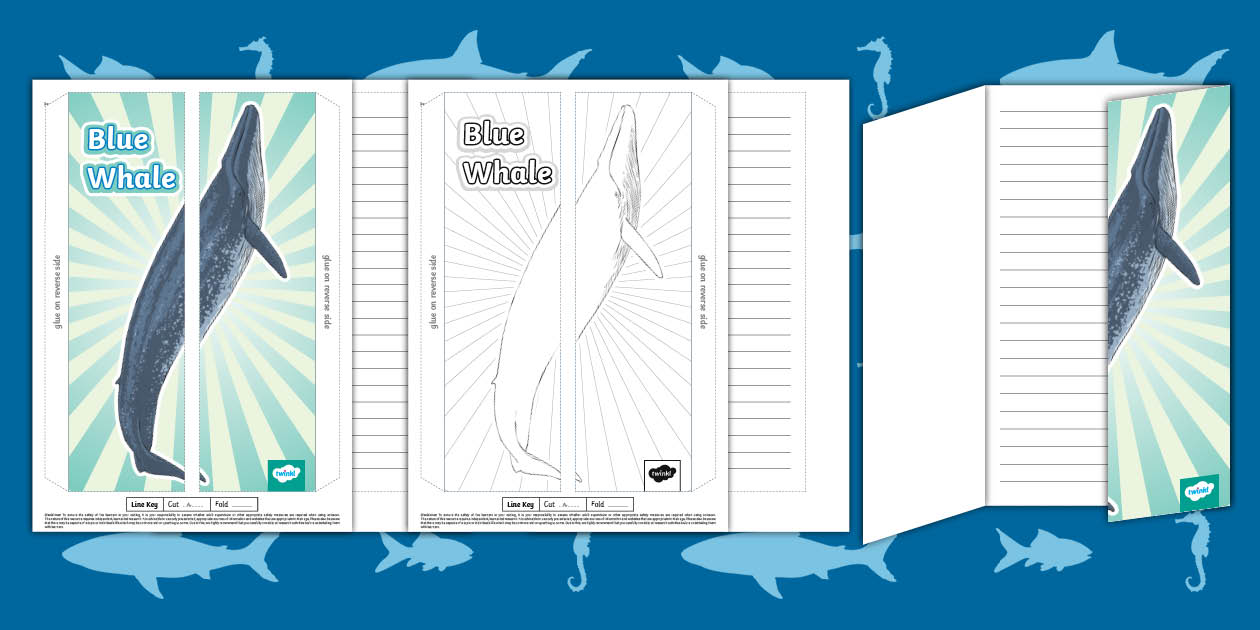 Blue Whale Folding writing Template (teacher made) - Twinkl