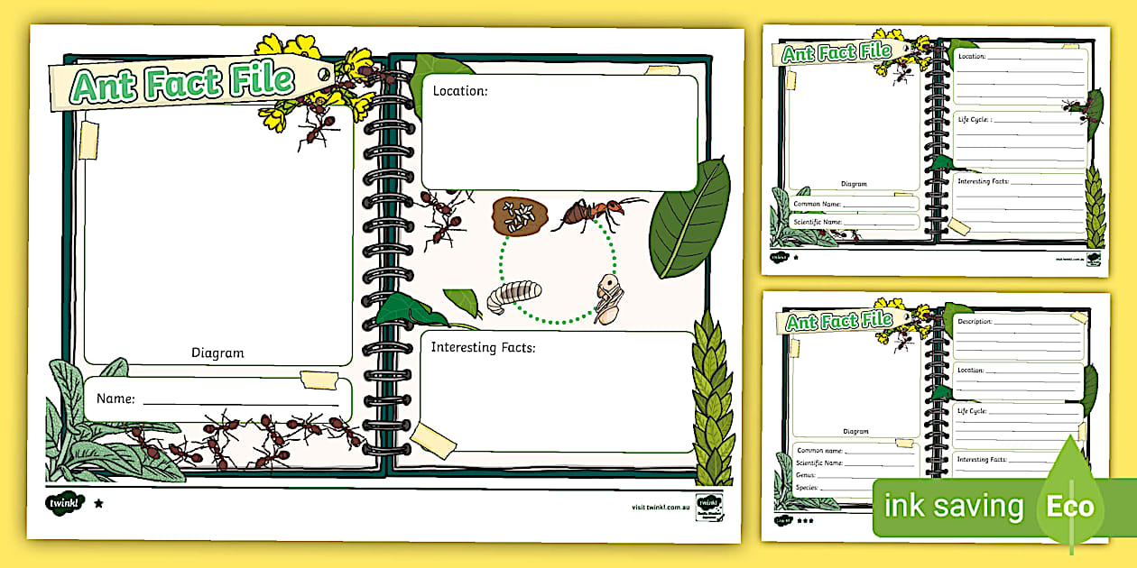 Ant Life Cycle Writing Frames (Teacher-Made) - Twinkl