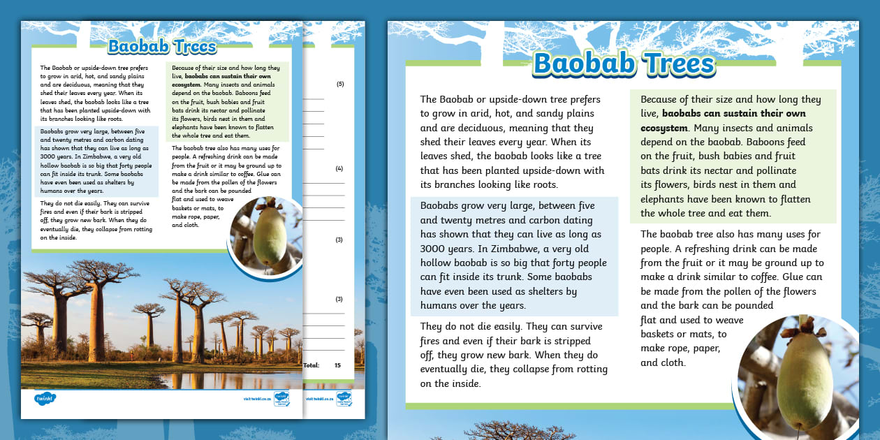 Baobab Trees - Comprehension (Teacher-Made) - Twinkl