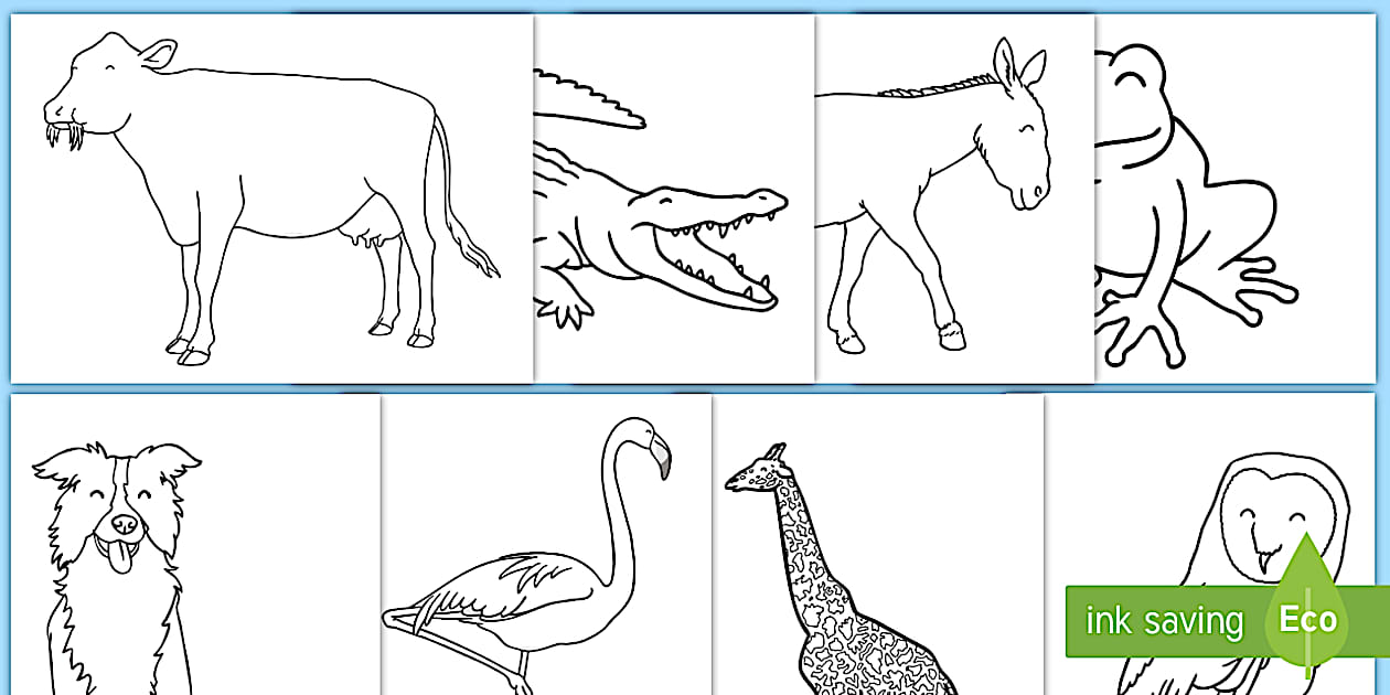 Desene de colorat cu animale | Resurse Twinkl România