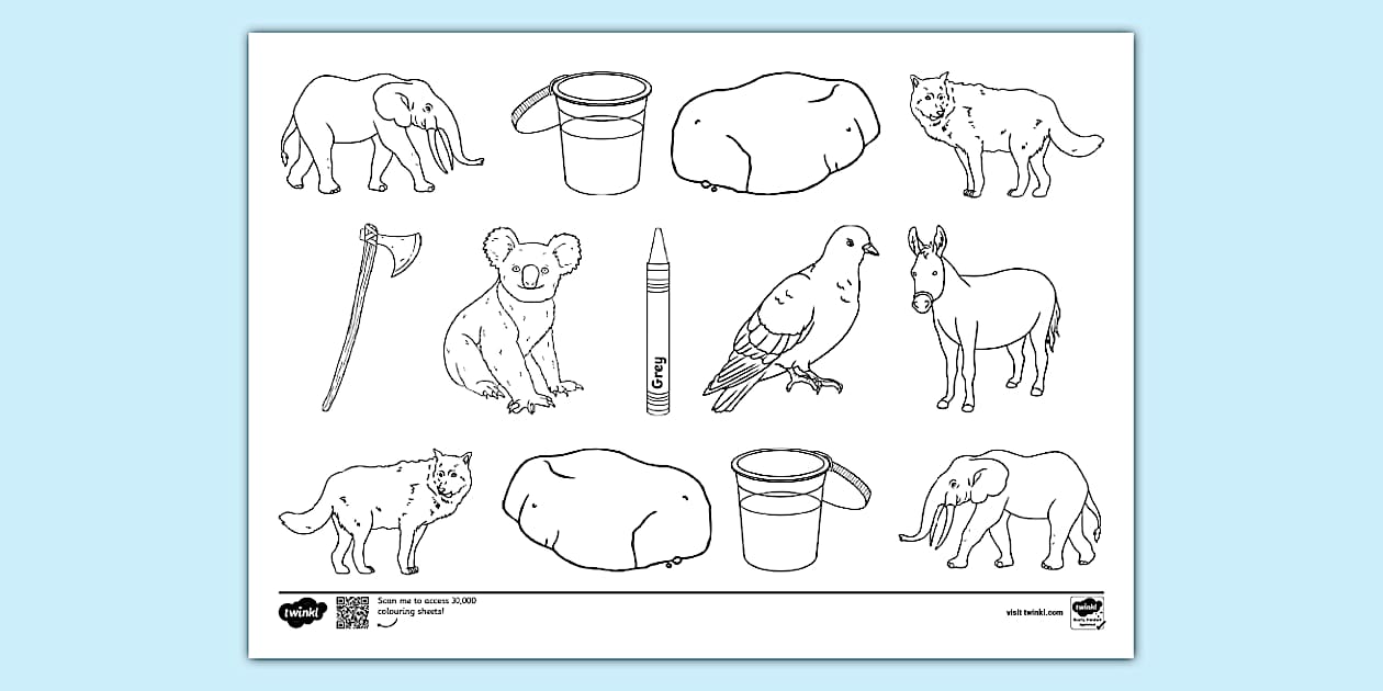 Things That Are Grey in Colour Colouring Sheet - Twinkl