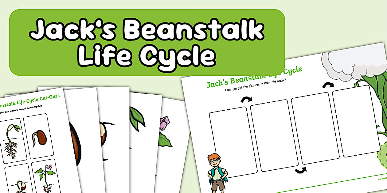 Jack's Beanstalk Life Cycle Worksheet / Worksheet
