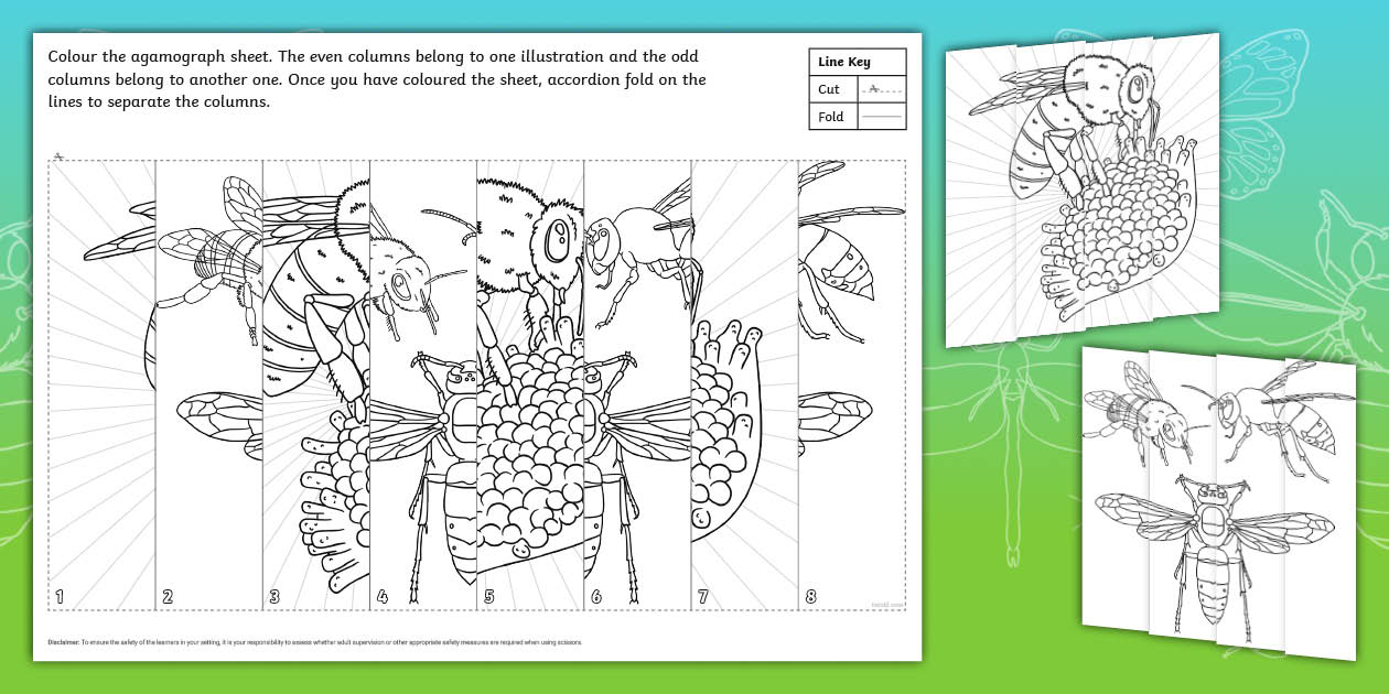 Bees Agamograph - Twinkl Arts and crafts (Teacher-Made)