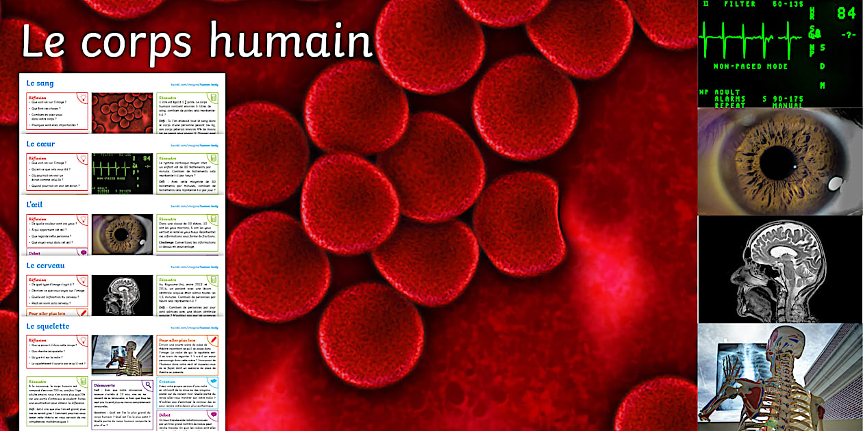 Imagine Human Body KS2 Resource Pack French (teacher made)