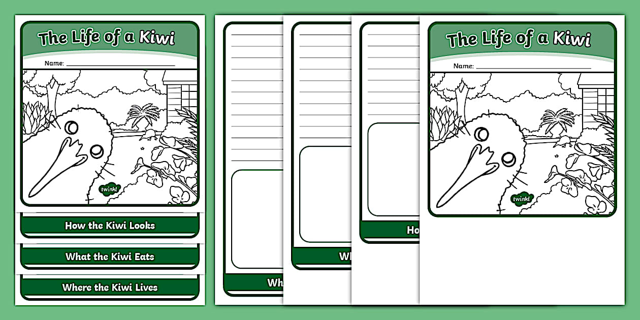 New Zealand Birds - Early Writing Kiwi Flipbook - Twinkl