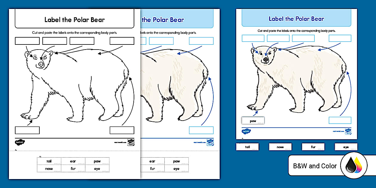 Early Childhood Label the Polar Bear Cut and Paste Worksheet