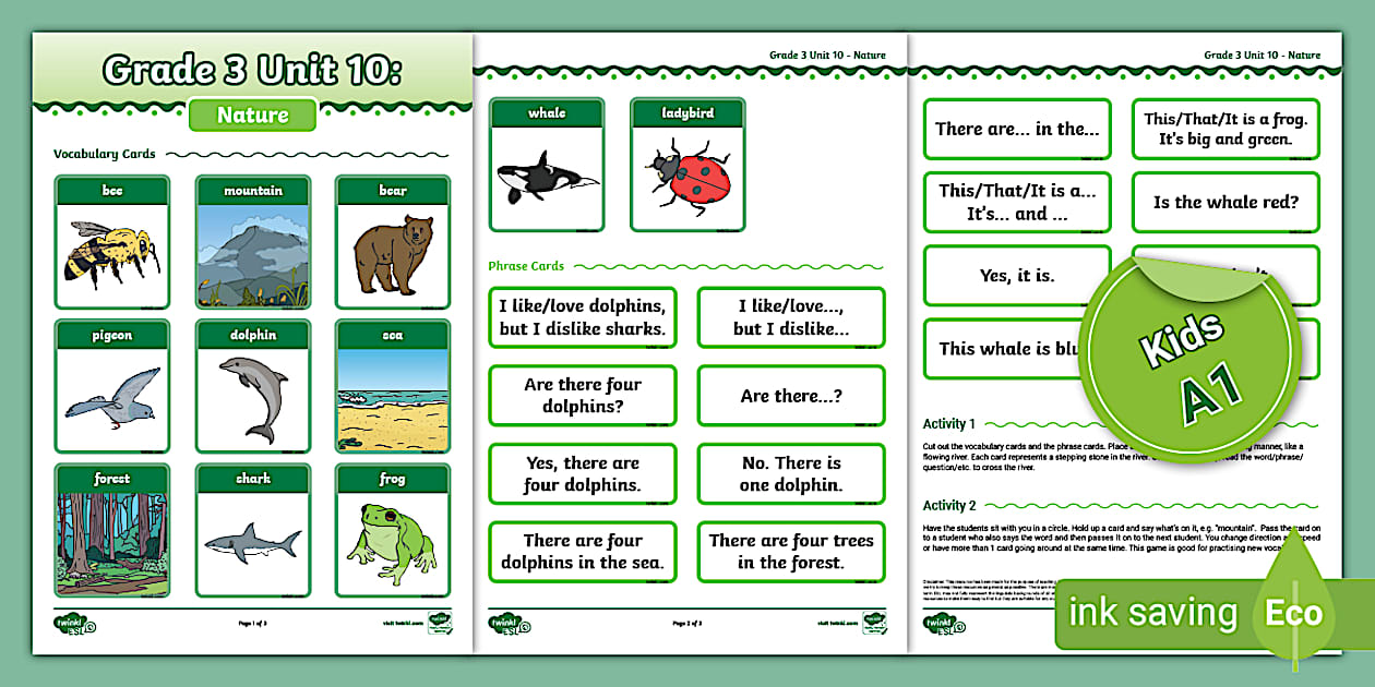 Turkey Curriculum English Vocabulary Cards: Grade 3 Unit 10