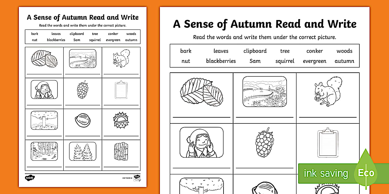 A Sense of Autumn Read and Write Worksheet / Worksheet