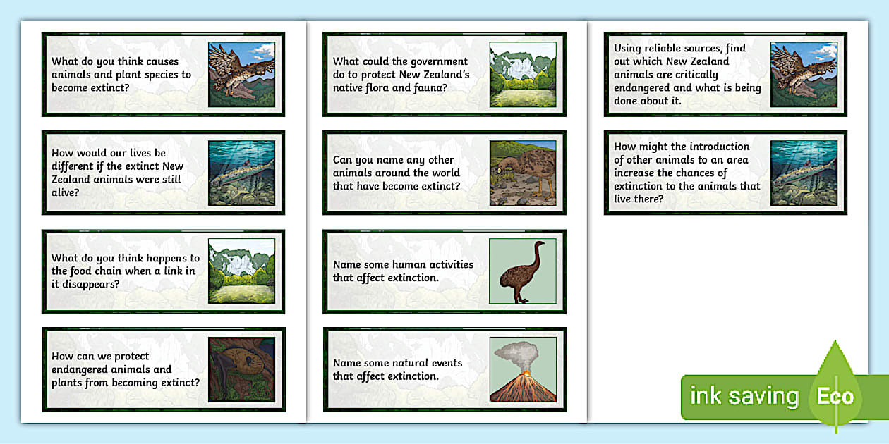 New Zealand Extinction Questions Prompt Cards | Twinkl