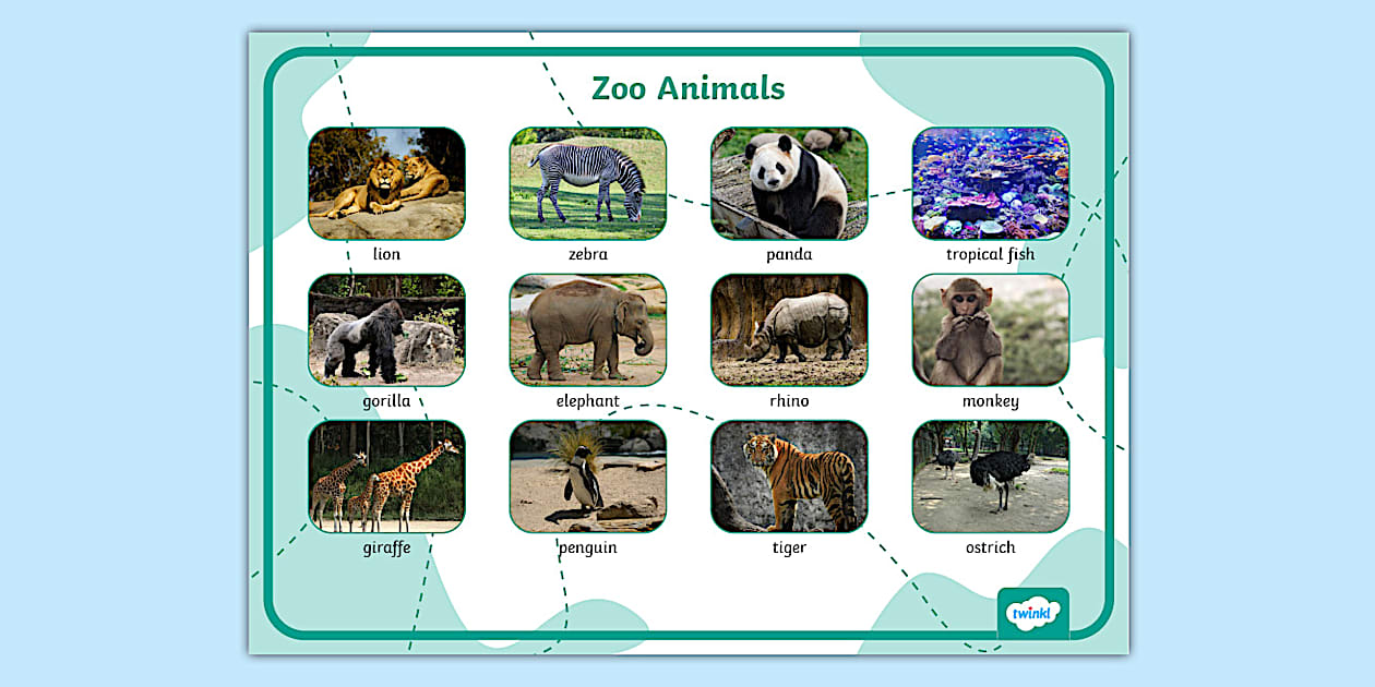 Zoo Animals Photo Word Mat (teacher made) - Twinkl