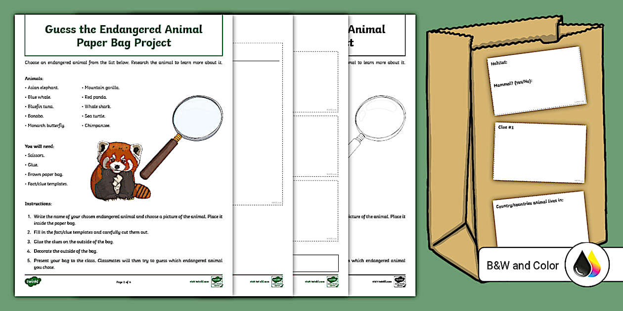 Guess the Endangered Animal Paper Bag Project (teacher made)