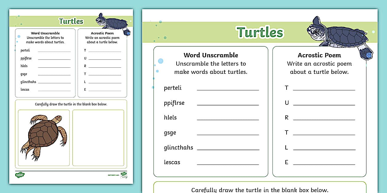 Turtles Boredom Buster Worksheet - KS1 (Teacher-Made)