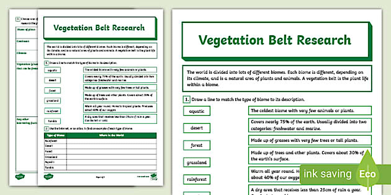 Editable Vegetation Belt Research Activity - Twinkl